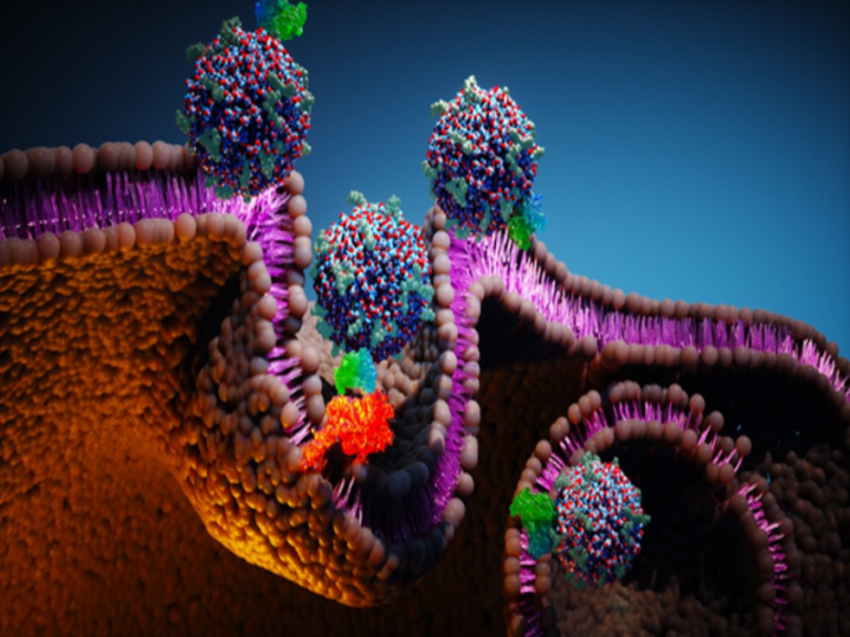 Targeting cancer cells using nanoparticles for therapeutic purposes ...