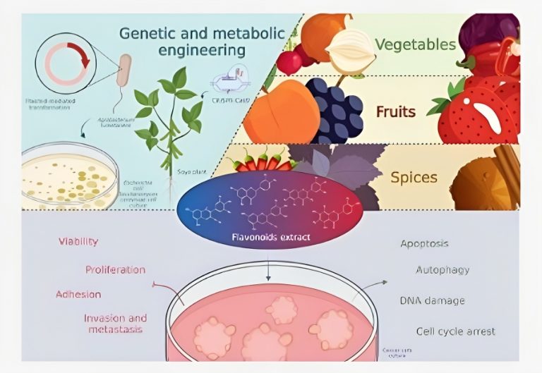 Biological Activities of Polyphenols - Bannari Amman Institute of ...